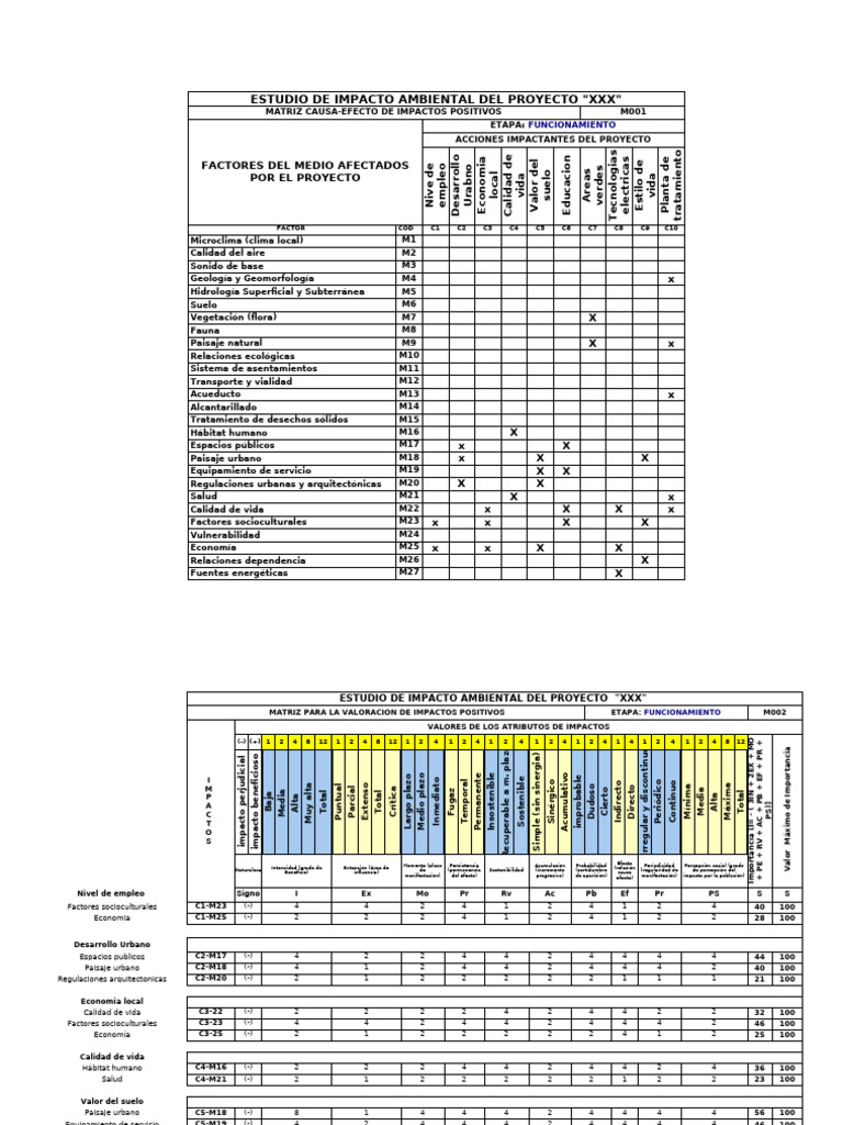 Matrices EIA Funcionamiento Positivo | PDF | Ciencias de la Tierra ...