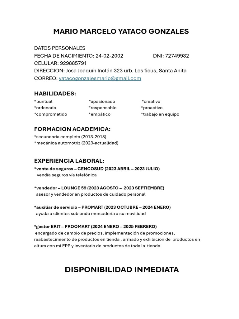 Mario Marcelo Yataco Gonzales | PDF