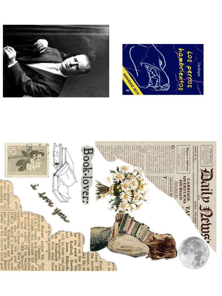 Documento (71) Jsls | PDF