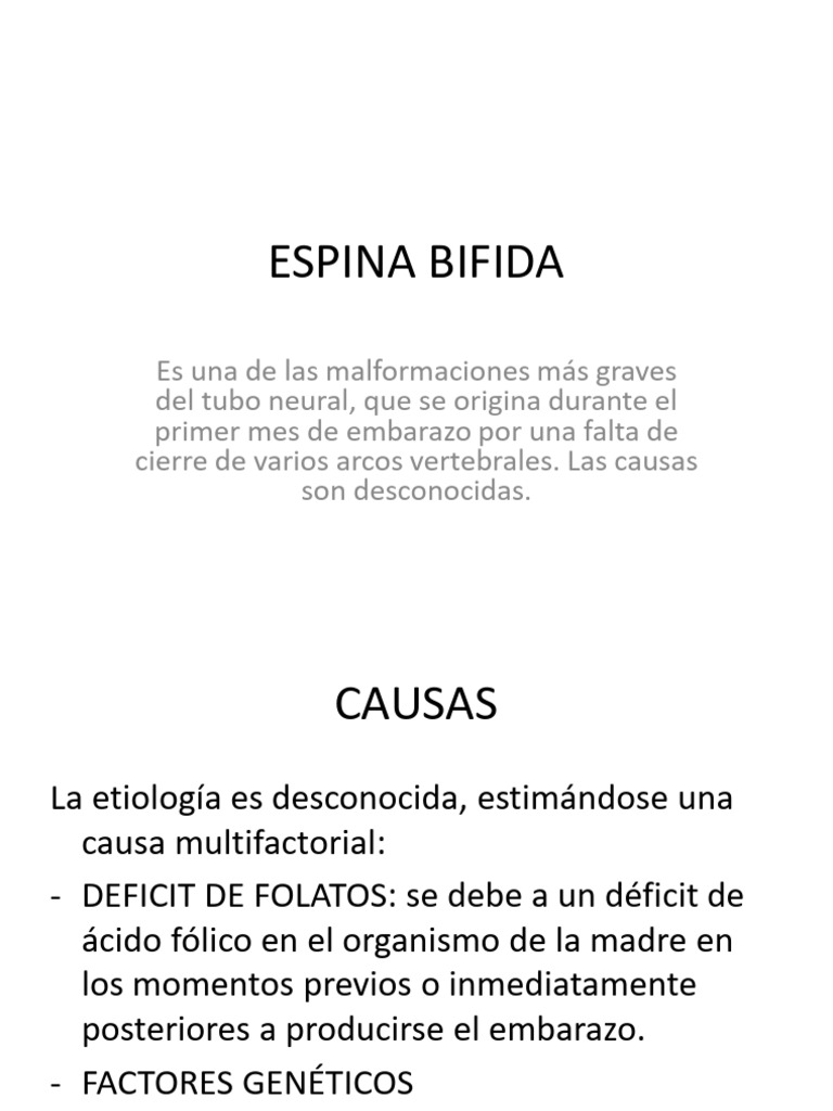 Espina Bifida: Tipos, Causas y Tratamiento | PDF | Enfermedades y ...