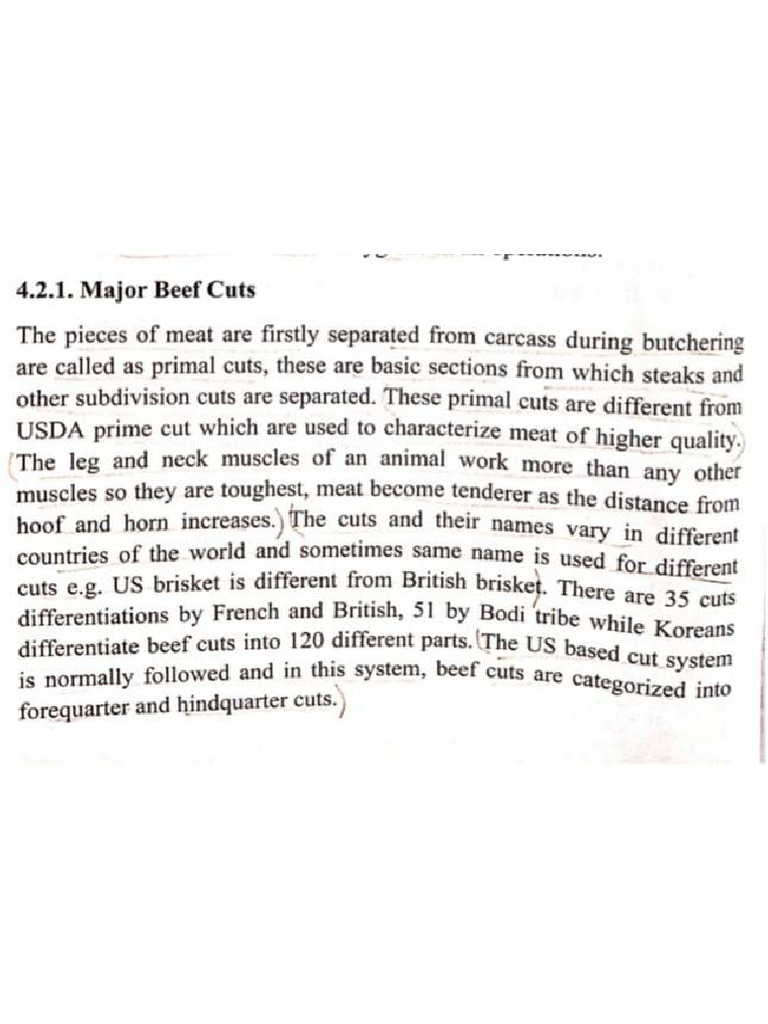 Identification of Meat Cuts | PDF