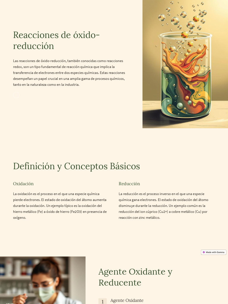 Reacciones de Oxido Reduccion | PDF | Redox | Reacciones químicas