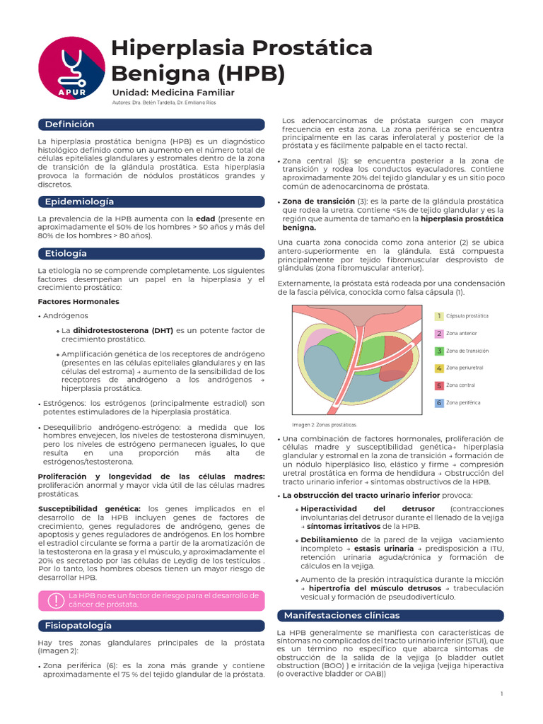Hiperplasia Prostática Benigna (HPB) : Unidad: Medicina Familiar | PDF ...