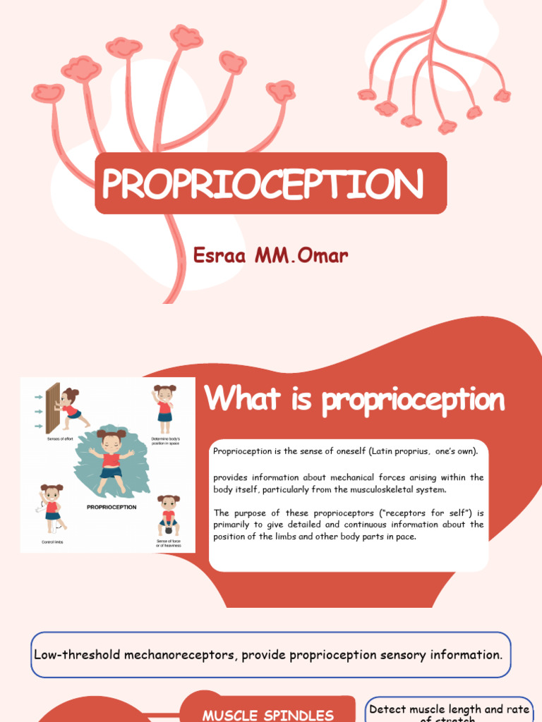 pROPRIOCEPTION 20250504 113947 0000 | PDF | Spinal Cord | Cerebellum