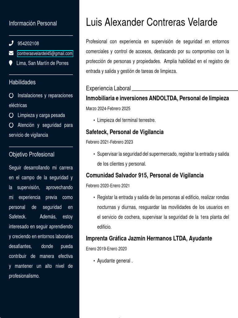 CV Alex-1 | PDF