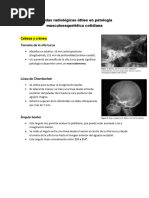 Diferencias Entre Meary y Costa Bartani | PDF | Pie | Sistema ...