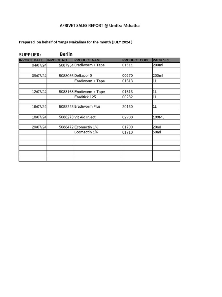 Sales Report Template | PDF