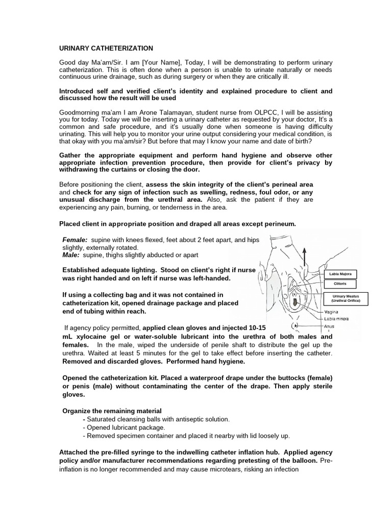 Urinary Elimination | PDF | Catheter | Urine