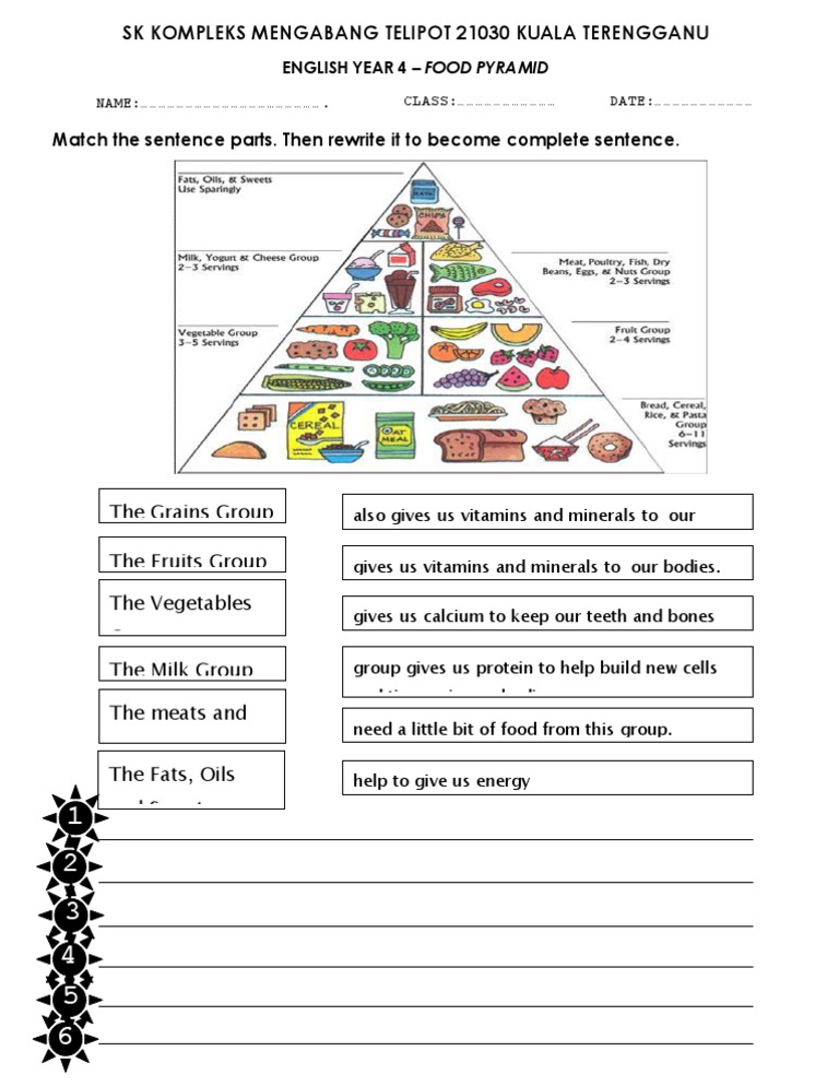 Worksheet Food Pyramid | PDF