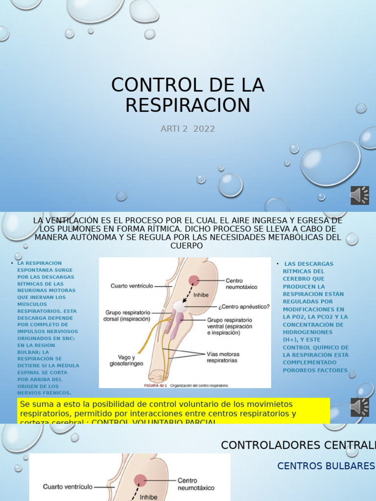 Control de La Respiracion | PDF | Sistema respiratorio | Respiración