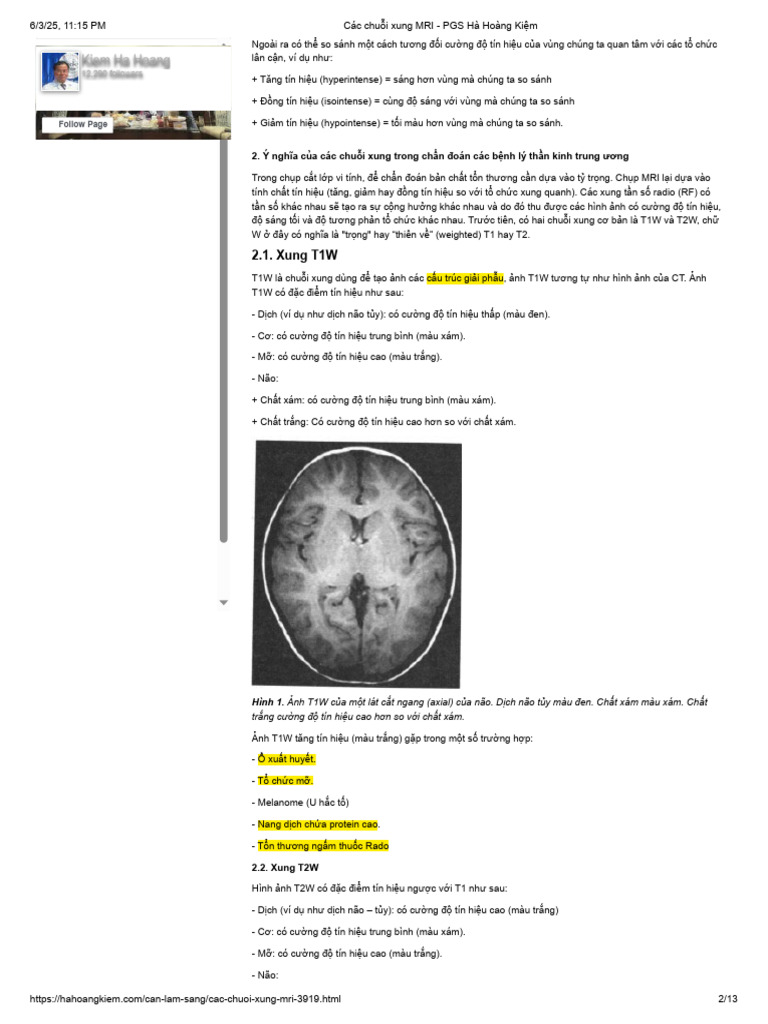 Các Chuỗi Xung MRI - PGS Hà Hoàng Kiệm | PDF