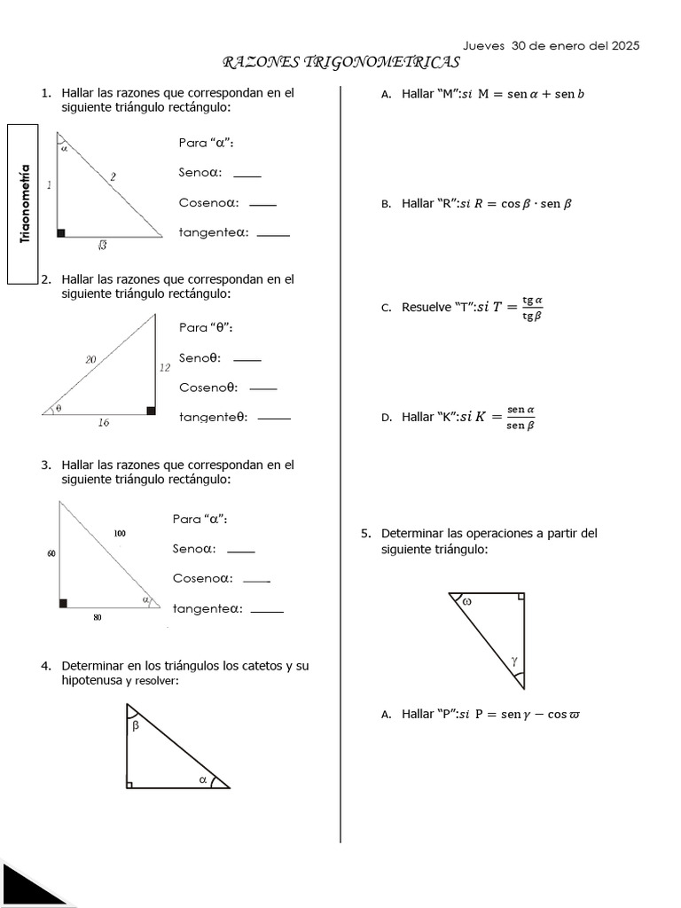 Razones Trigonometricas Ejer | PDF | Funciones trigonométricas | Formas geométricas