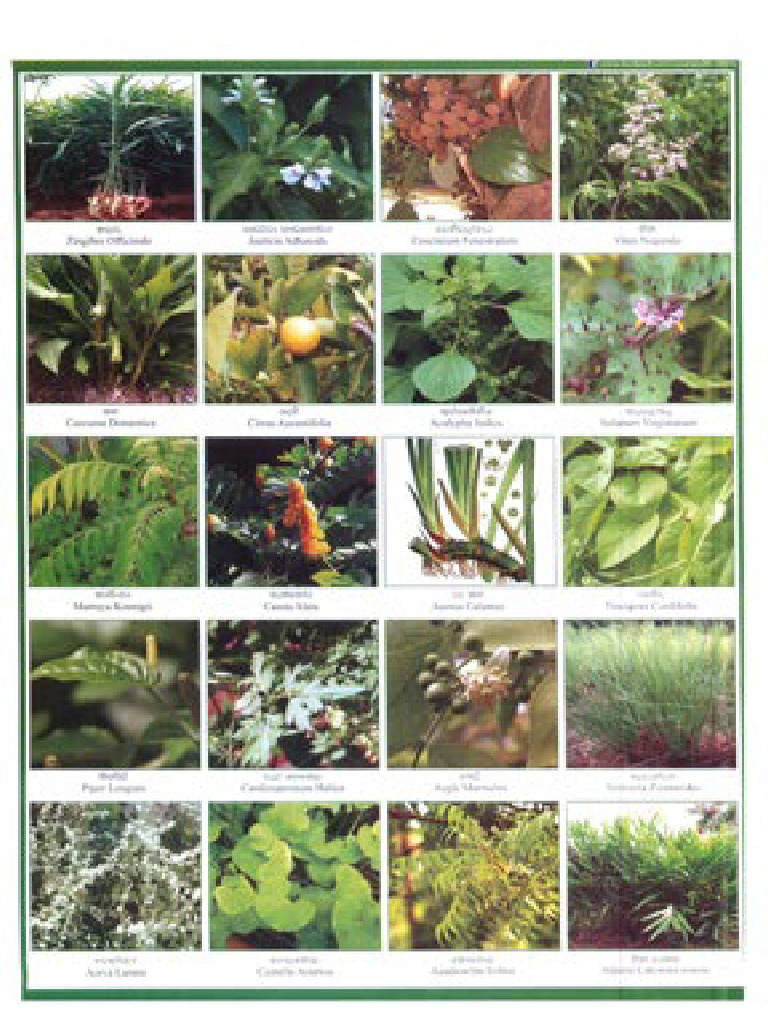 BEHETH PELETI WARGA | PDF