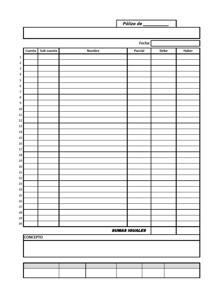 Formato Polizas | PDF