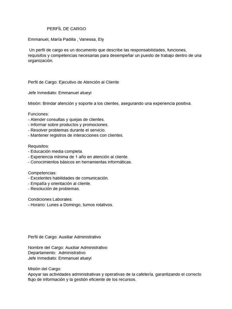 Perfíl de Cargo | PDF