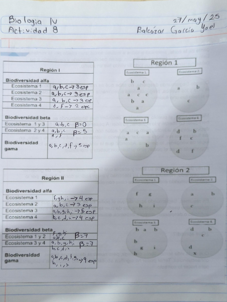 Act8_BalcazarYael. Office Lens | PDF