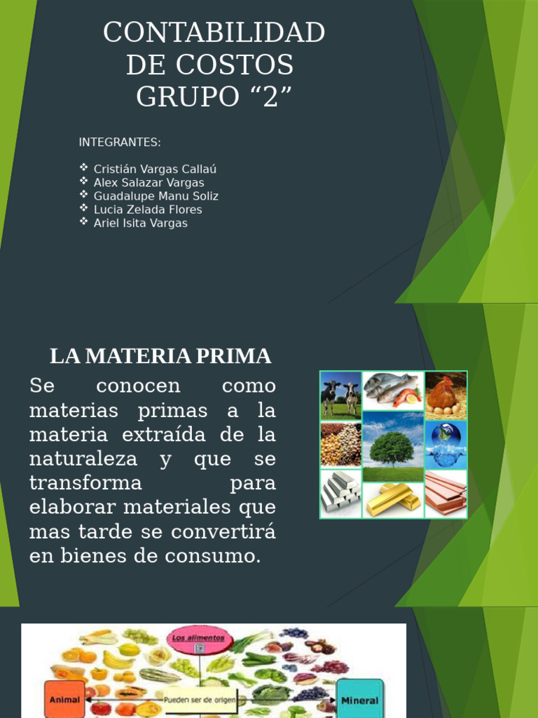 Materia Prima | PDF | Energía renovable | Materia prima
