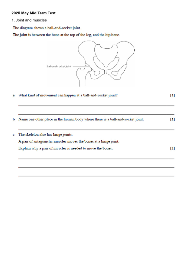 2025 Mid Term Test Topics Overview | PDF