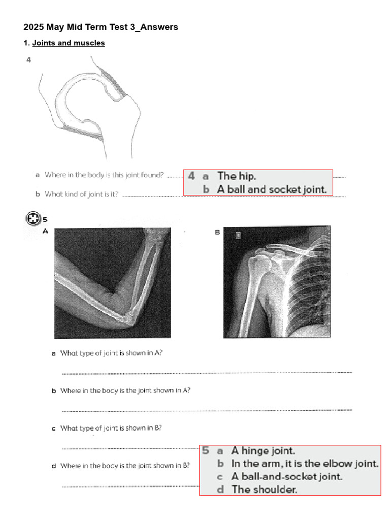 2025 May Mid Term Test 3 - Answer | PDF