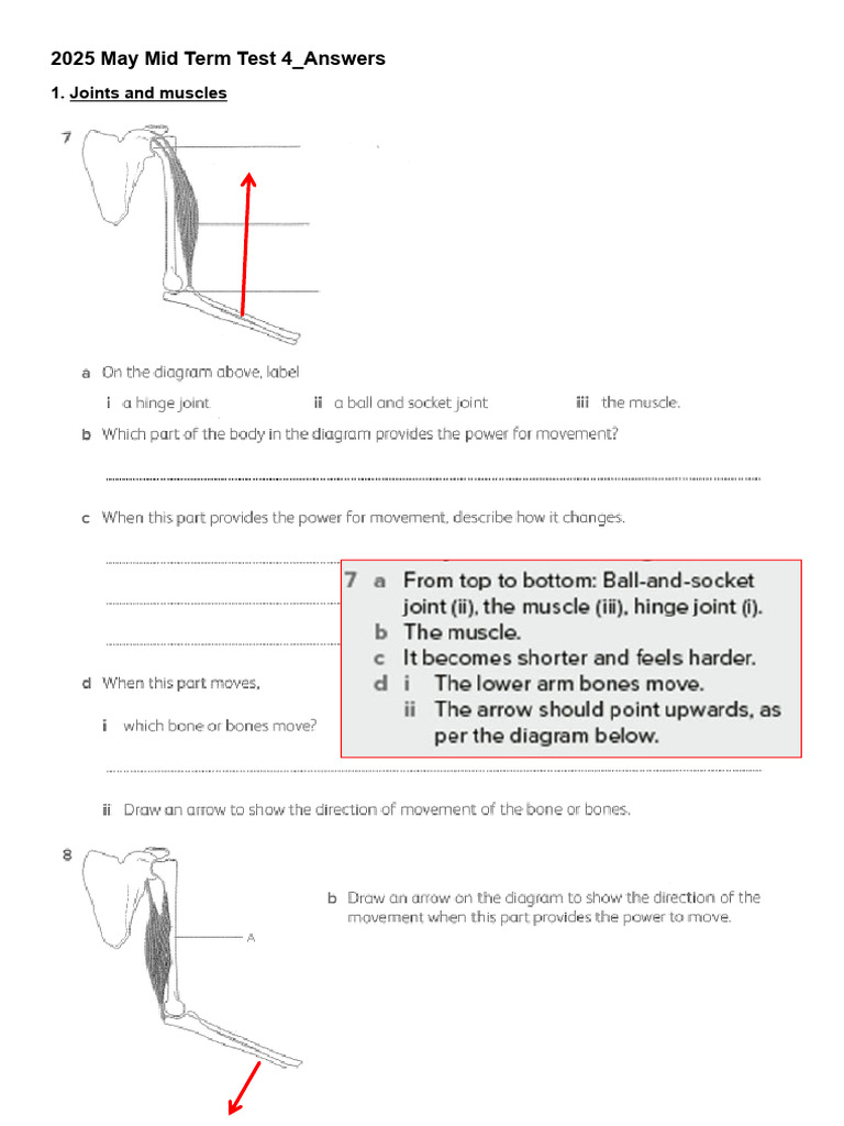 2025 May Mid Term Test 4 Answer Pdf