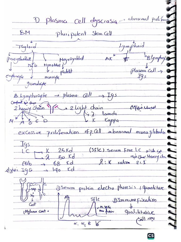 Plasma Cell Disorders | PDF