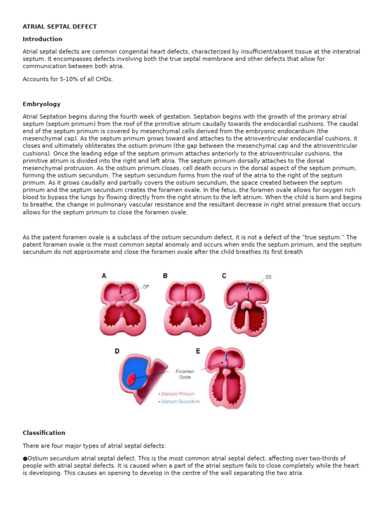 Pediatric Project Atrial Septal Defects | PDF | Atrium (Heart ...