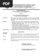 Edaran RKAS Perubahan 2025 | PDF