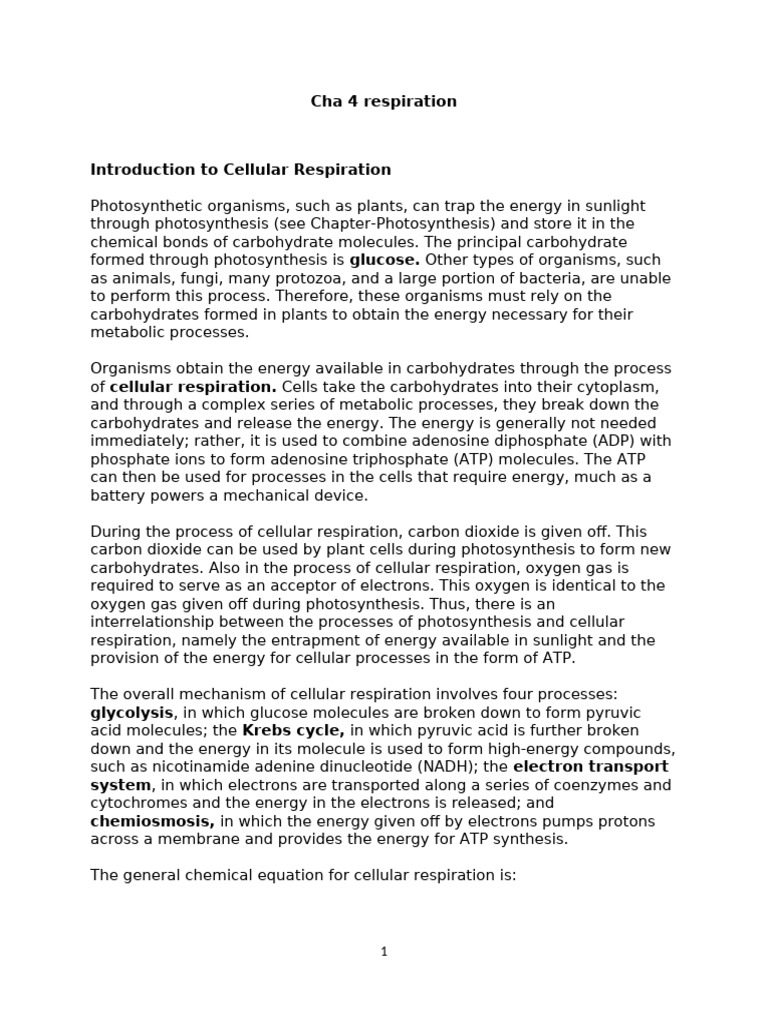 Respiration An Important Topic Related To The Plant Physiology | PDF ...