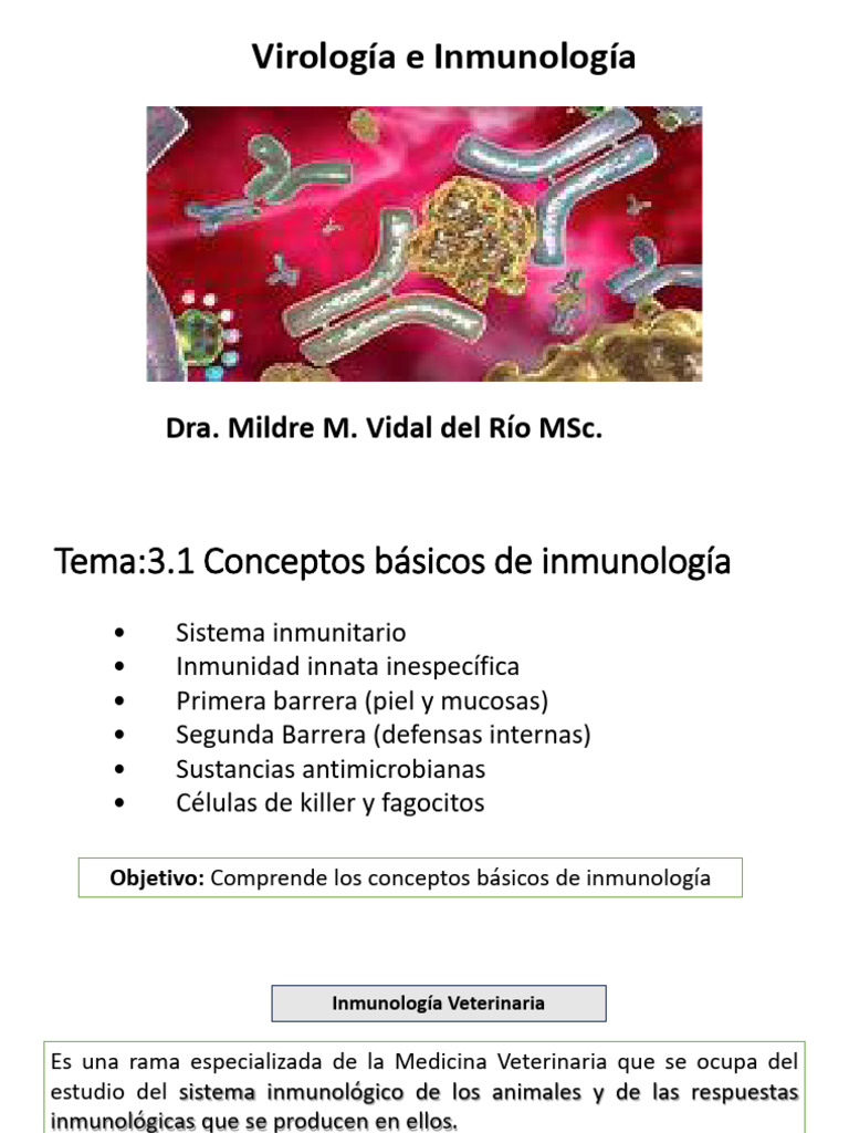 3.1 Conceptos Básicos de Inmunología | PDF | Sistema inmune | Sistema inmune innato