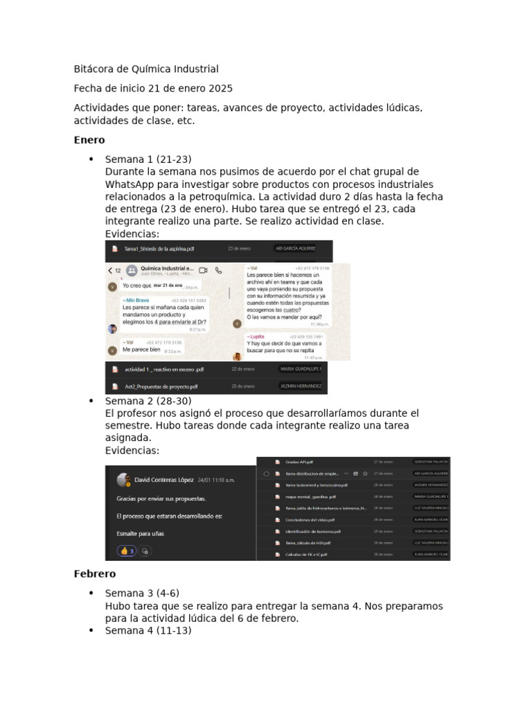 Bitácora de Actividades en Química Industrial | PDF