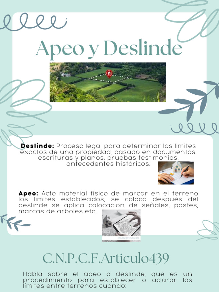 Proceso de Apeo y Deslinde Legal | PDF