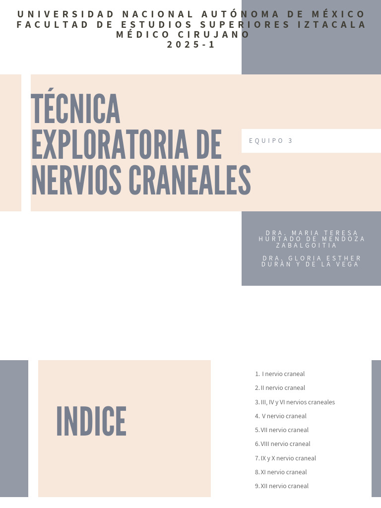 Exploración de Nervios Craneales | PDF | Percepción visual | Nervio vago