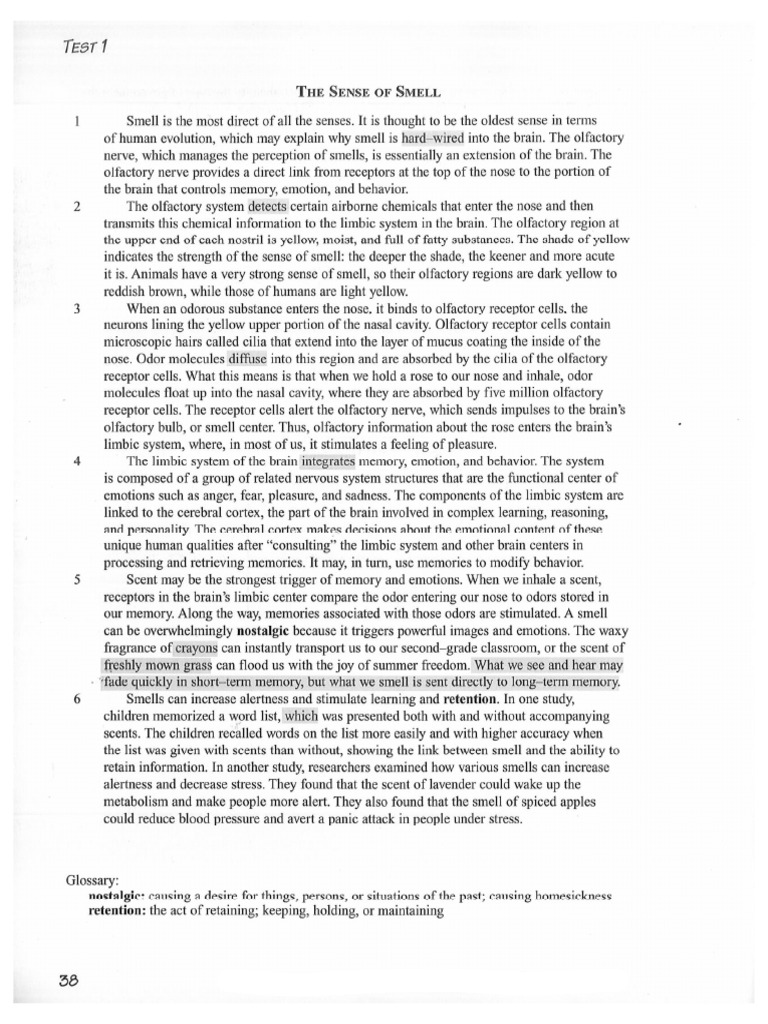 PW Test 1 Reading (Questions 26 To 50) | PDF