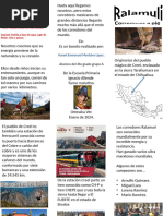 13 Directrices de Cero Tolerancia de Pemex | PDF