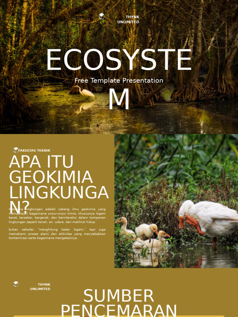 Brown and White Simple Ecosystem Presentation | PDF | Nature | Biogeography