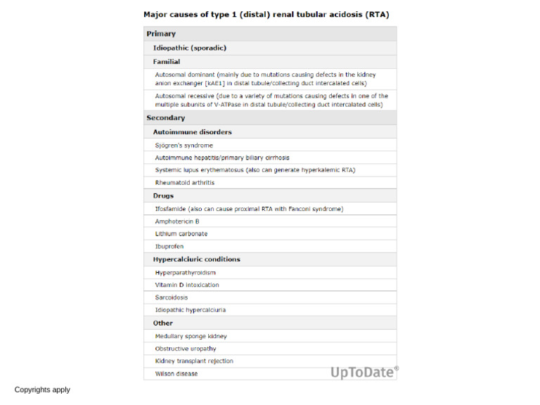 Major Causes of Distal RTA | PDF