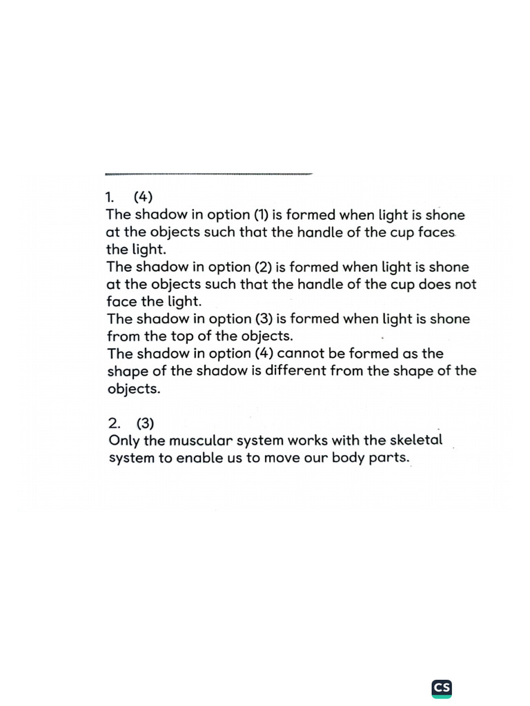 p4 Psle Mock 2024 Answers | PDF