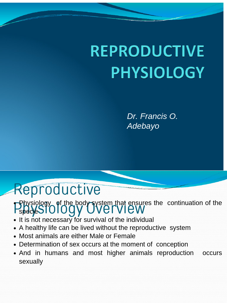 New Reproductive Physiology Lectures For 300 LS, 2024.key | PDF ...