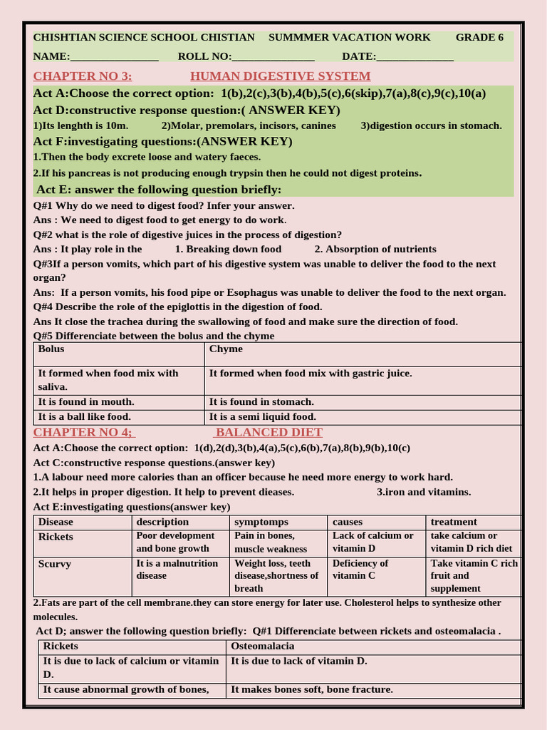 Grade 6 Summer Vacation Work: Science | PDF | Digestion | Vitamin