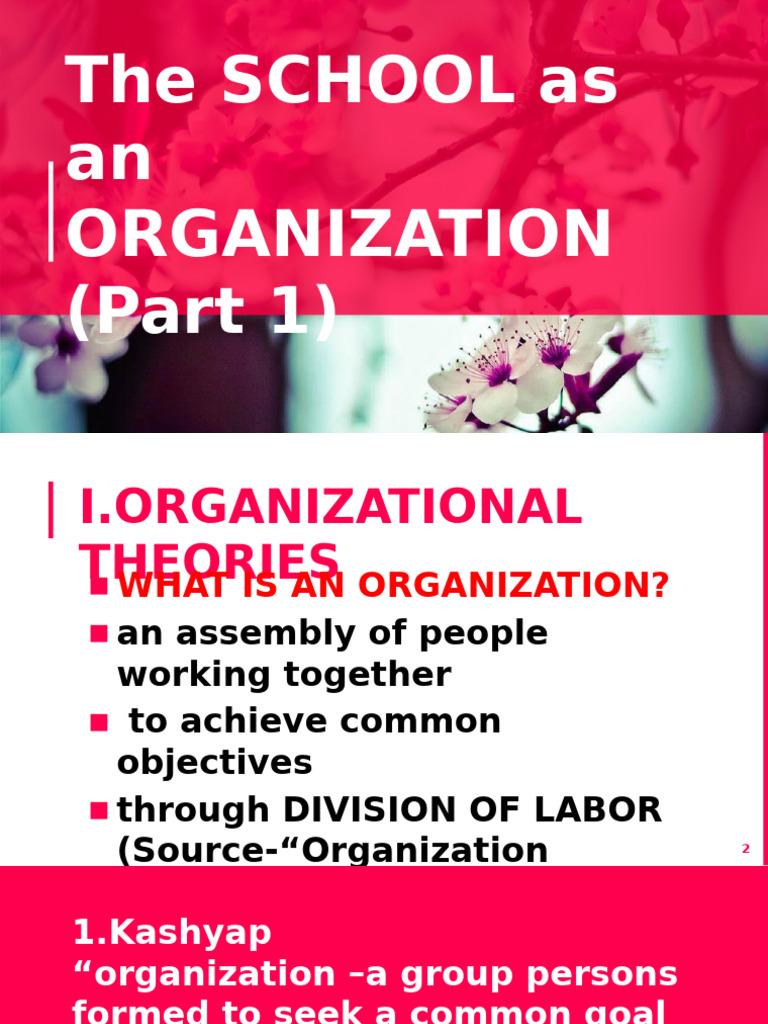 Understanding School Organization Theories | PDF | Bureaucracy ...