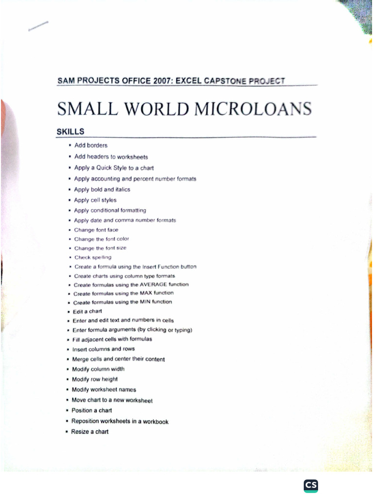 Small World Microloans | PDF