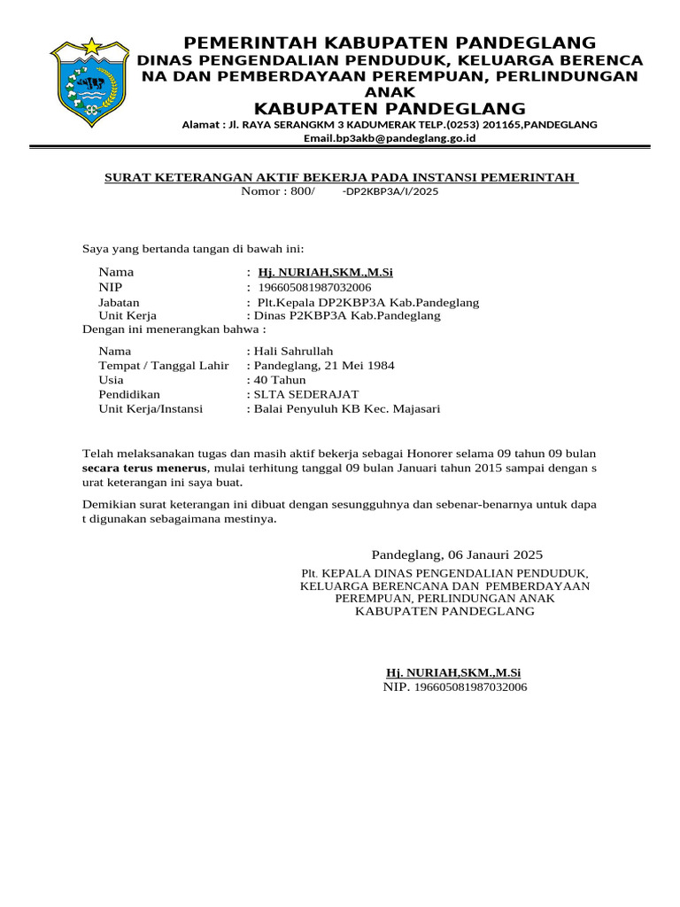 Contoh Surat Keterangan Aktif Bekerja PPPK 2024 | PDF