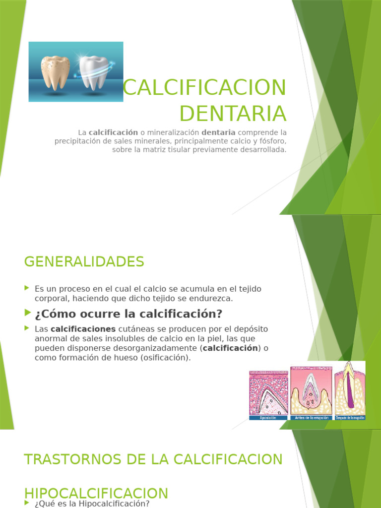 Calcificación y Trastornos Dentales | PDF | Diente | Anatomia dental