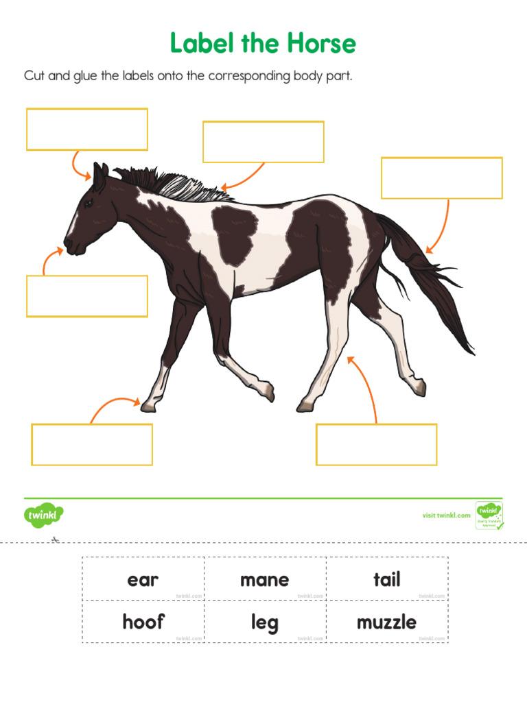 Color Label The Horse | PDF