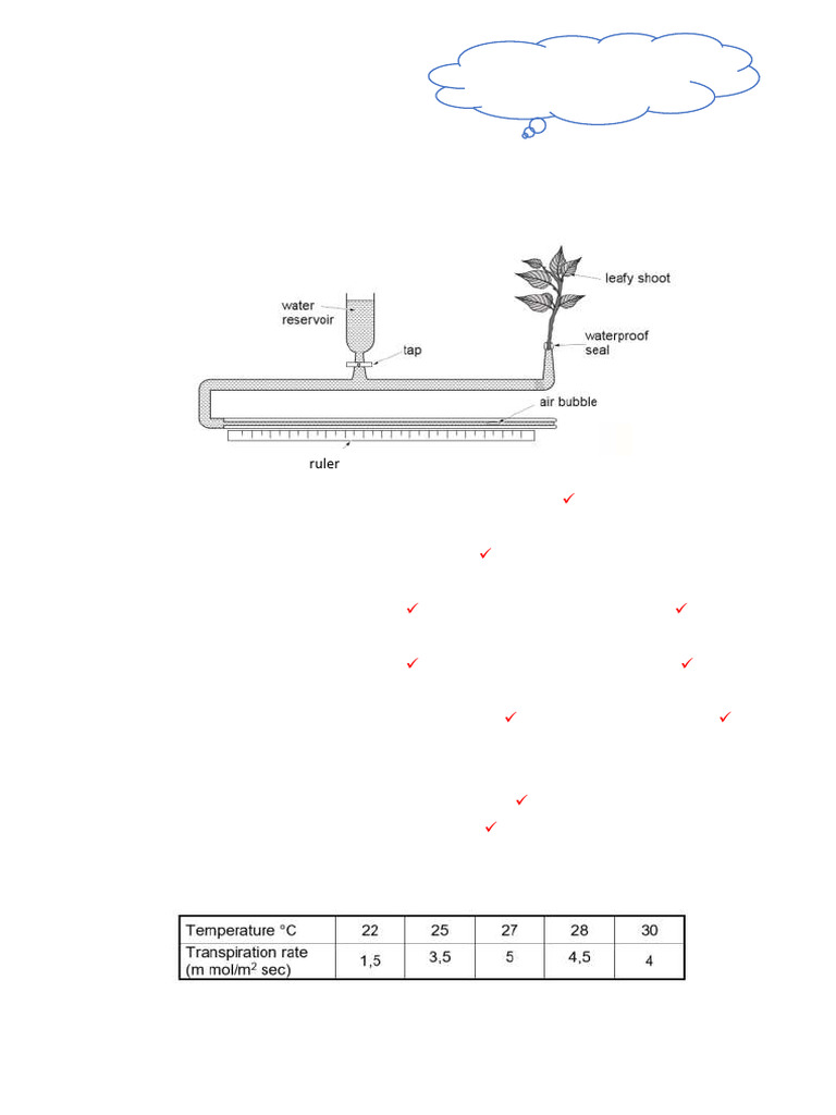 GRADE 10 ASSIGNMENT (Examplar - Memo) | PDF | Stoma | Branches Of Botany