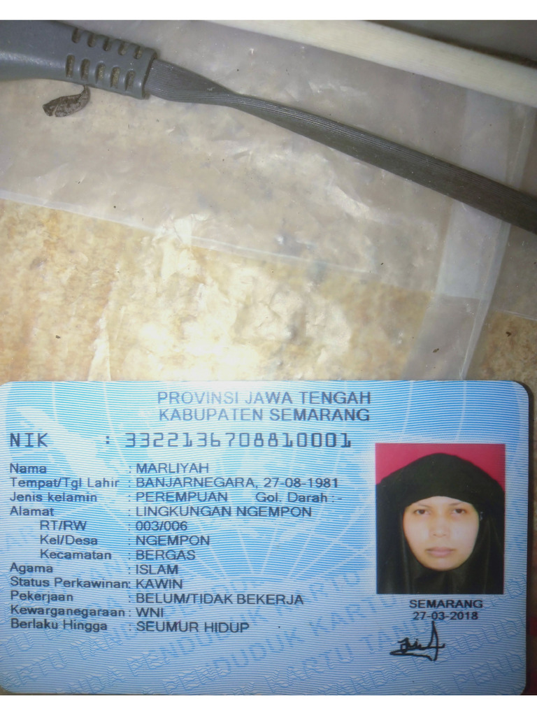 Katepe PDF 20240729 0608 | PDF