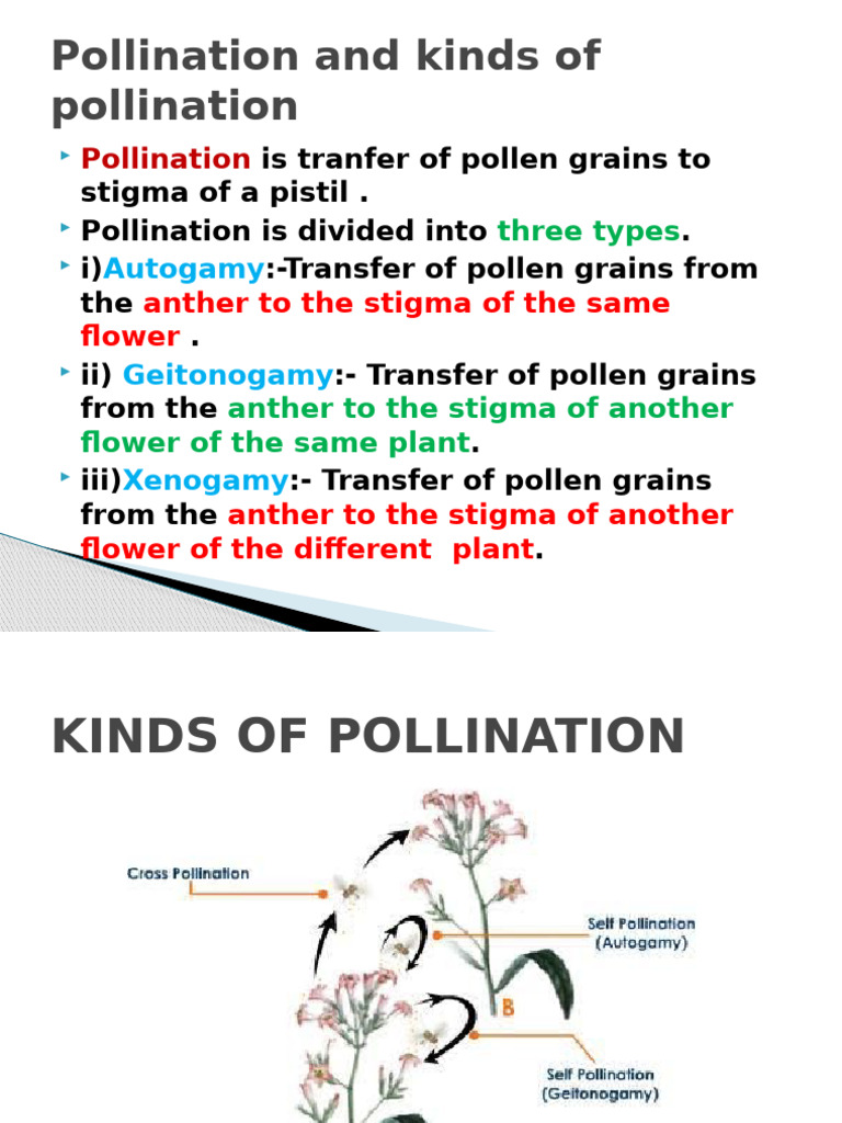 3-Sexual Reproduction in Flowering Plants-POLLINATION | PDF | Flowers ...