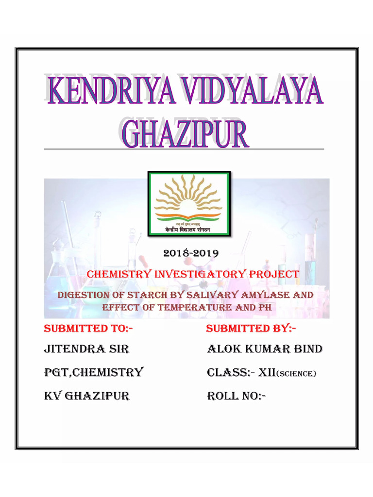 Yanjal's Project | PDF