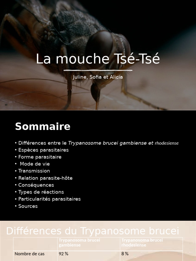 Mouche Tsé-Tsé et Trypanosomes en Afrique | PDF | Spécialités médicales ...