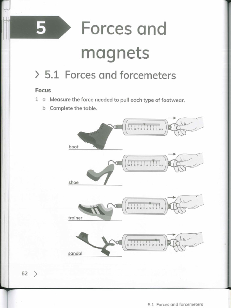 Science p3 Unit 5 | PDF